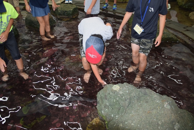 DSC 0373 | 橘町メディアギャラリー