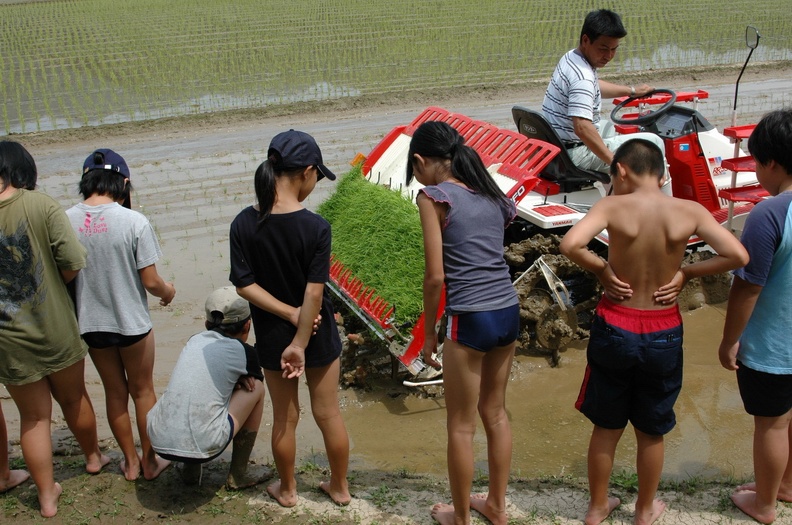 DSC 0110 | 橘町メディアギャラリー