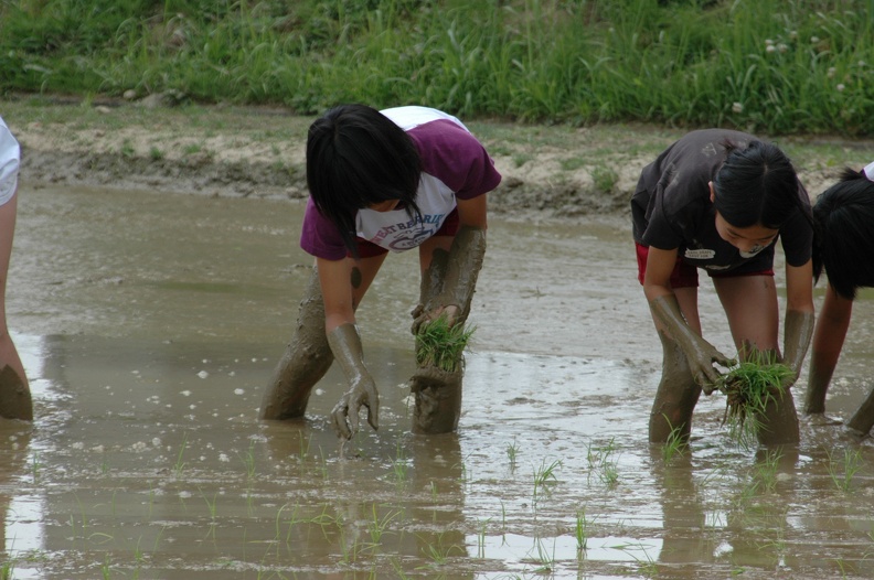 DSC 0167 | 橘町メディアギャラリー